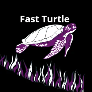 Fast Turtle | FASTCUP