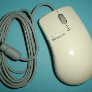 ponyal,prinyal profile | FASTCUP